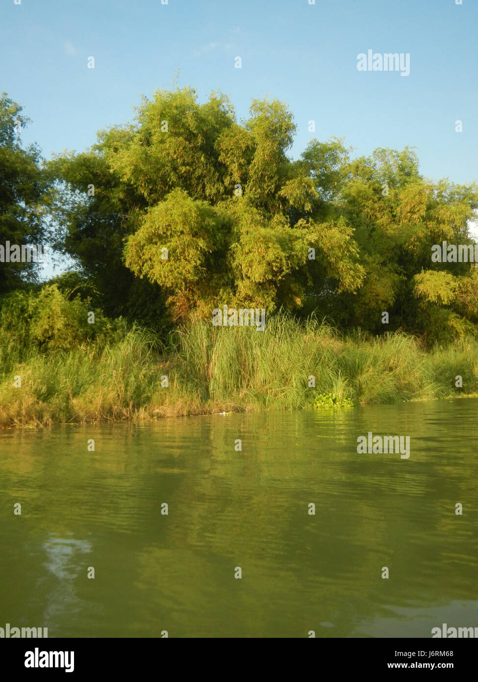 This image depicts the San Juan Santa Cruz Pambilog area in the San ...