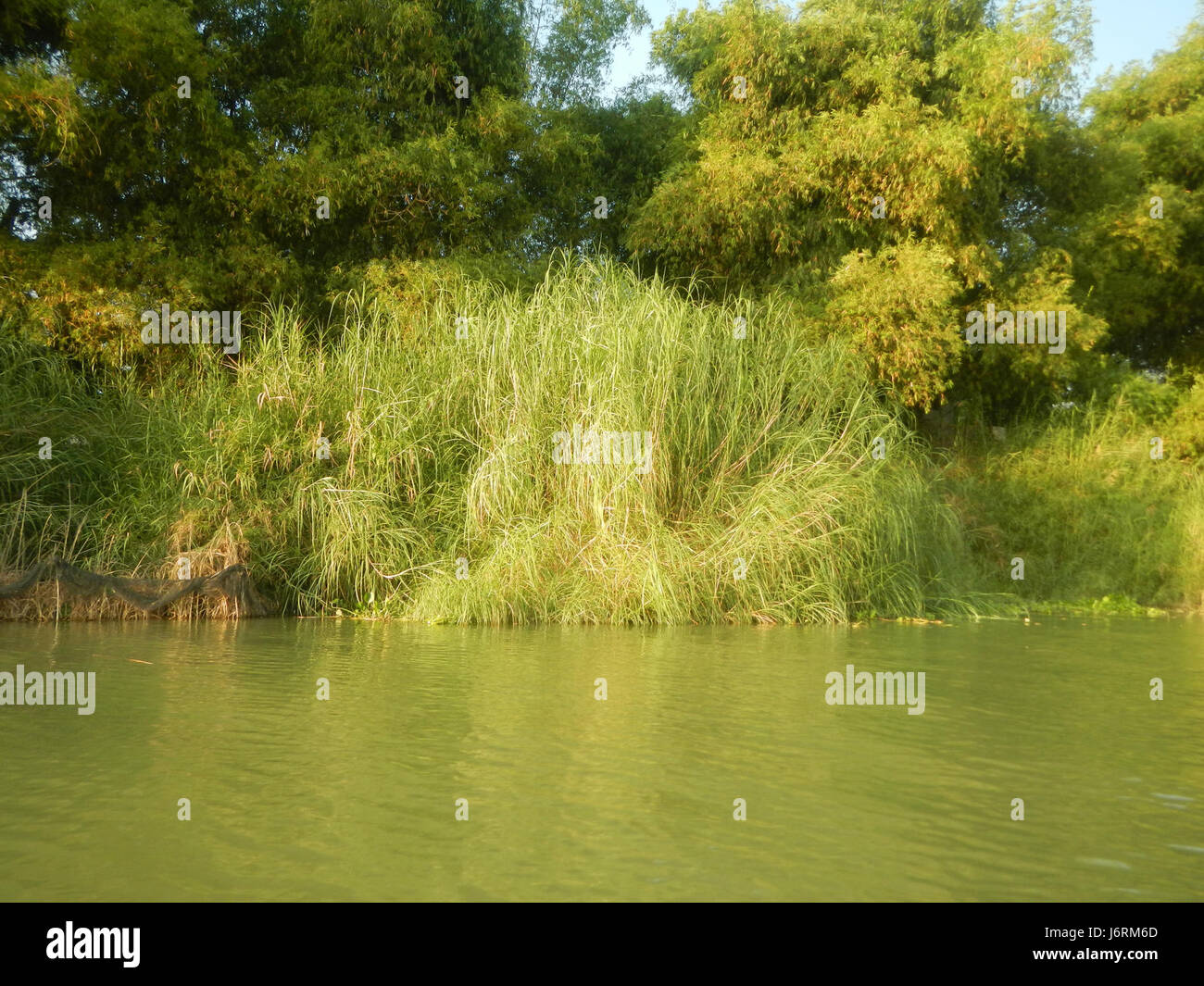 This image shows the San Juan, Santa Cruz, and Pambilog areas in San ...