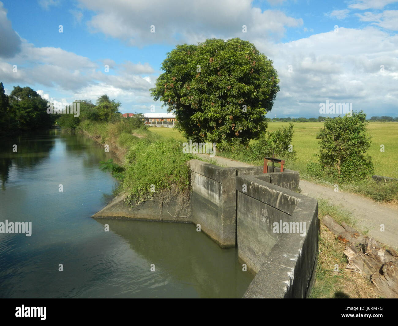 The image features agricultural activity in Talampas, Bustos, Bulacan ...