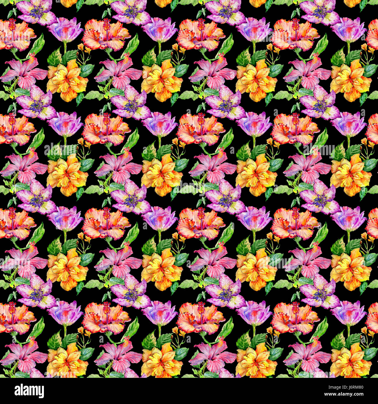 Wildflower hibiscus flower pattern in a watercolor style isolated Stock ...