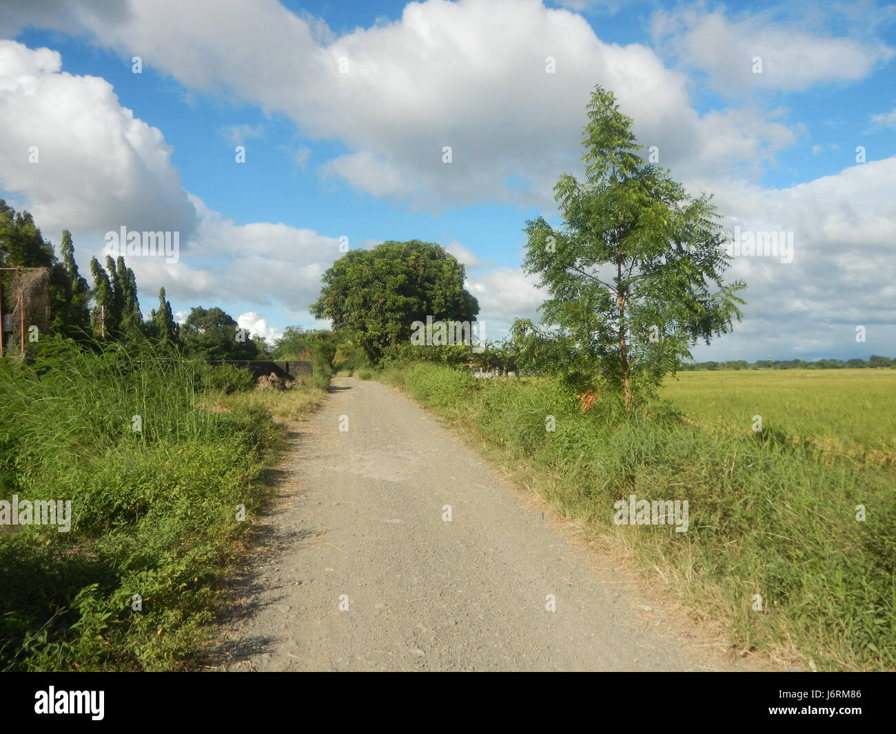 This location in Talampas, Bustos, Bulacan, Philippines, features paddy ...