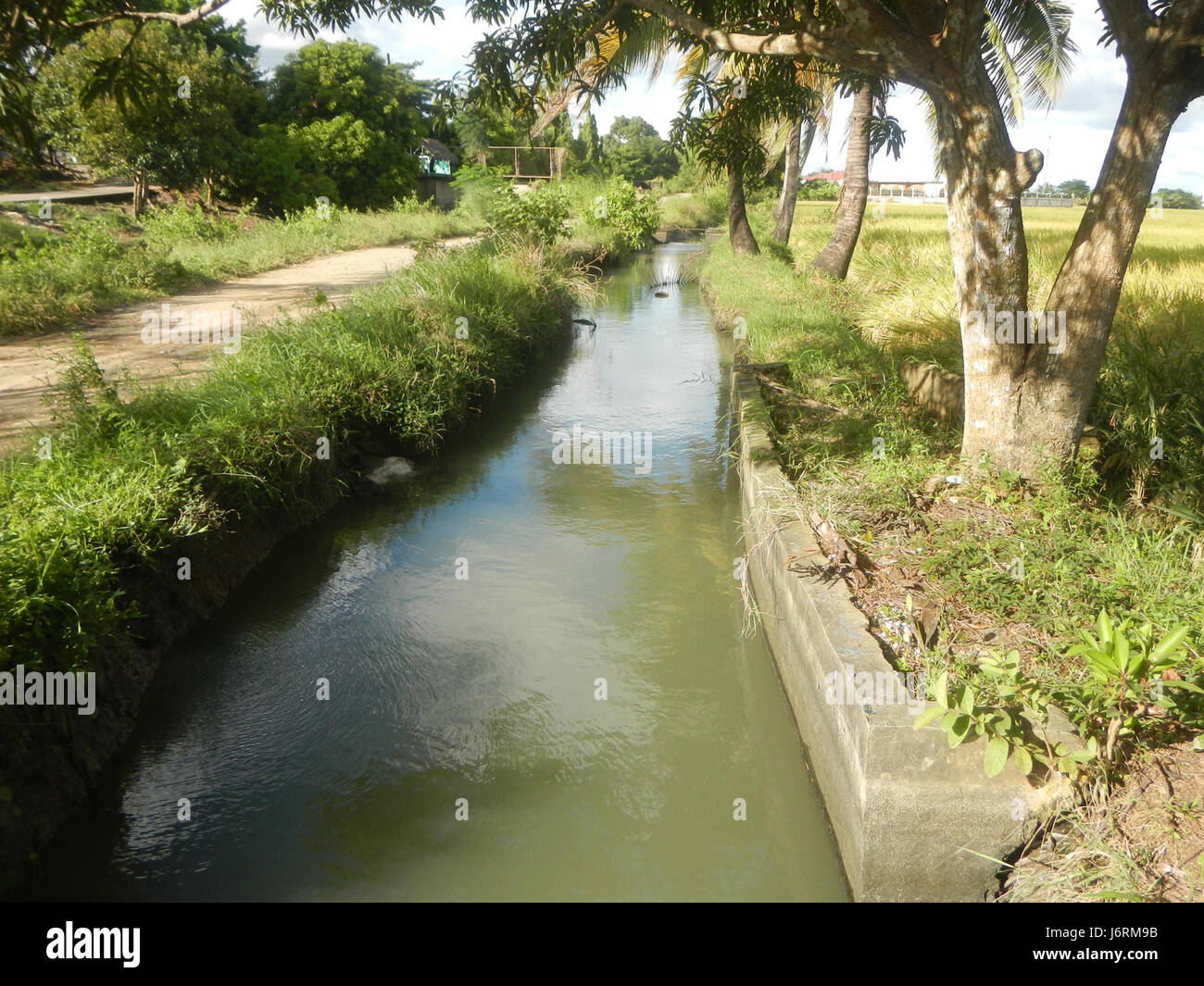 This reference points to the paddy fields in Talampas, Bustos, Bulacan ...