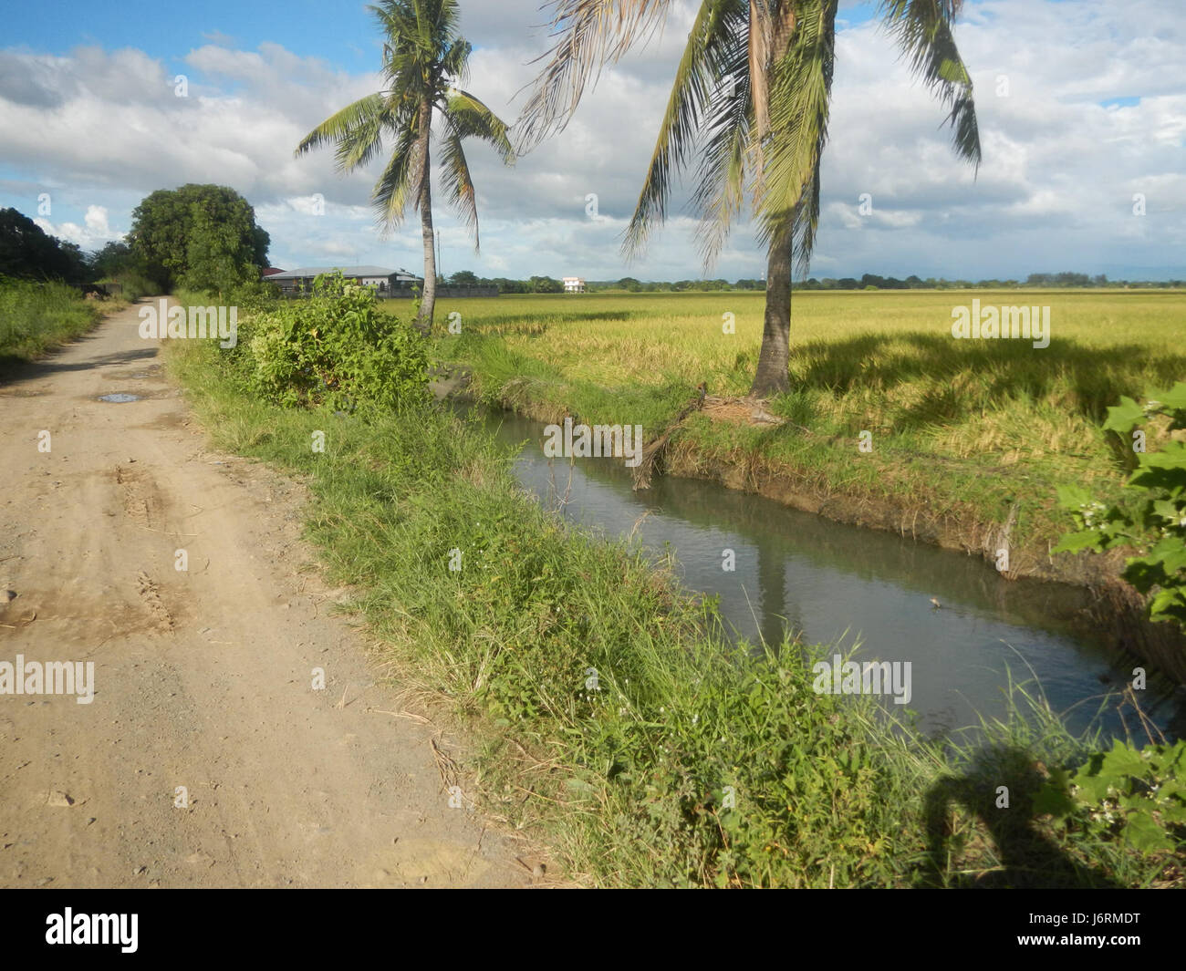 This image captures the rural landscape of Talampas and Bustos in ...