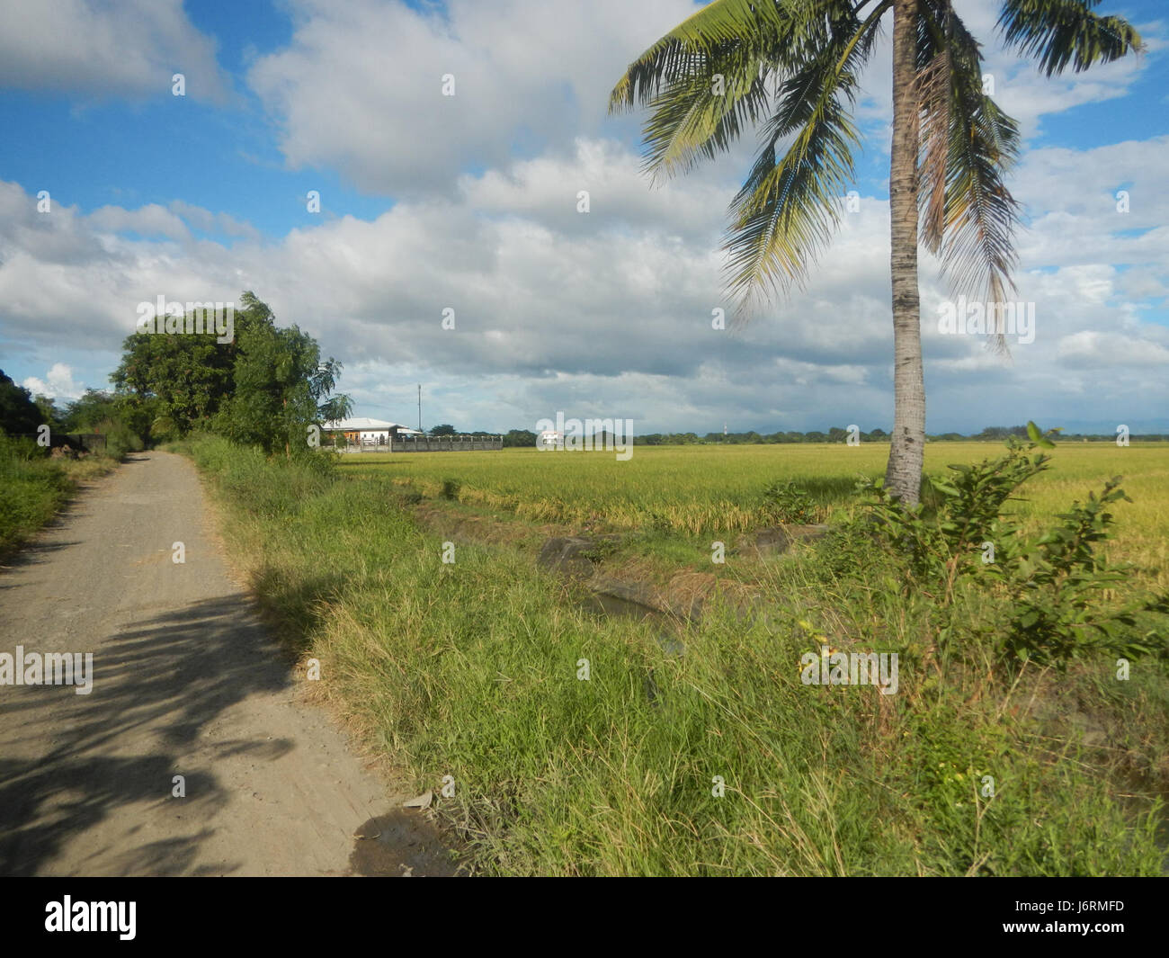 This image captures the rural landscape of Talampas in Bustos, Bulacan ...