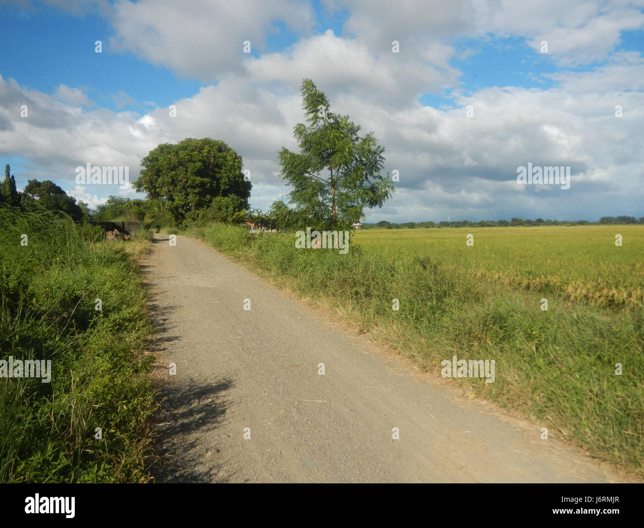 This image showcases the rural landscape of Talampas, Bustos, Bulacan ...