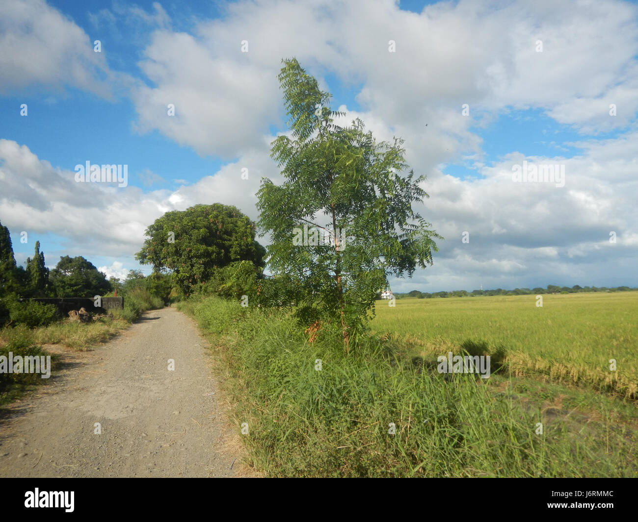 This image depicts the rural landscape of Talampas, Bustos, Bulacan ...
