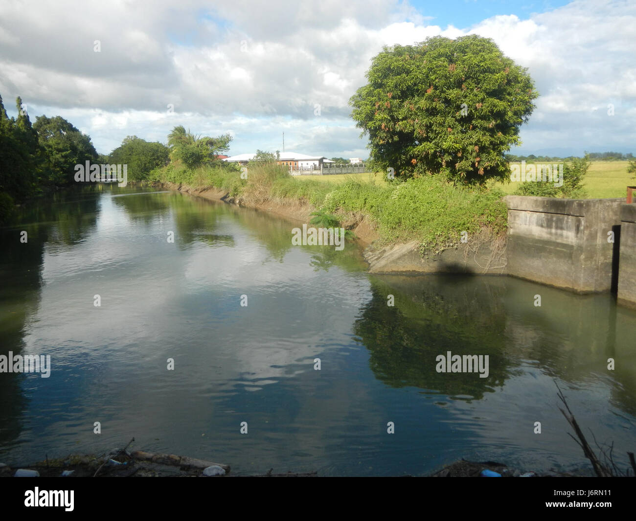 The image shows the agricultural landscape of Talampas, Bustos, Bulacan ...