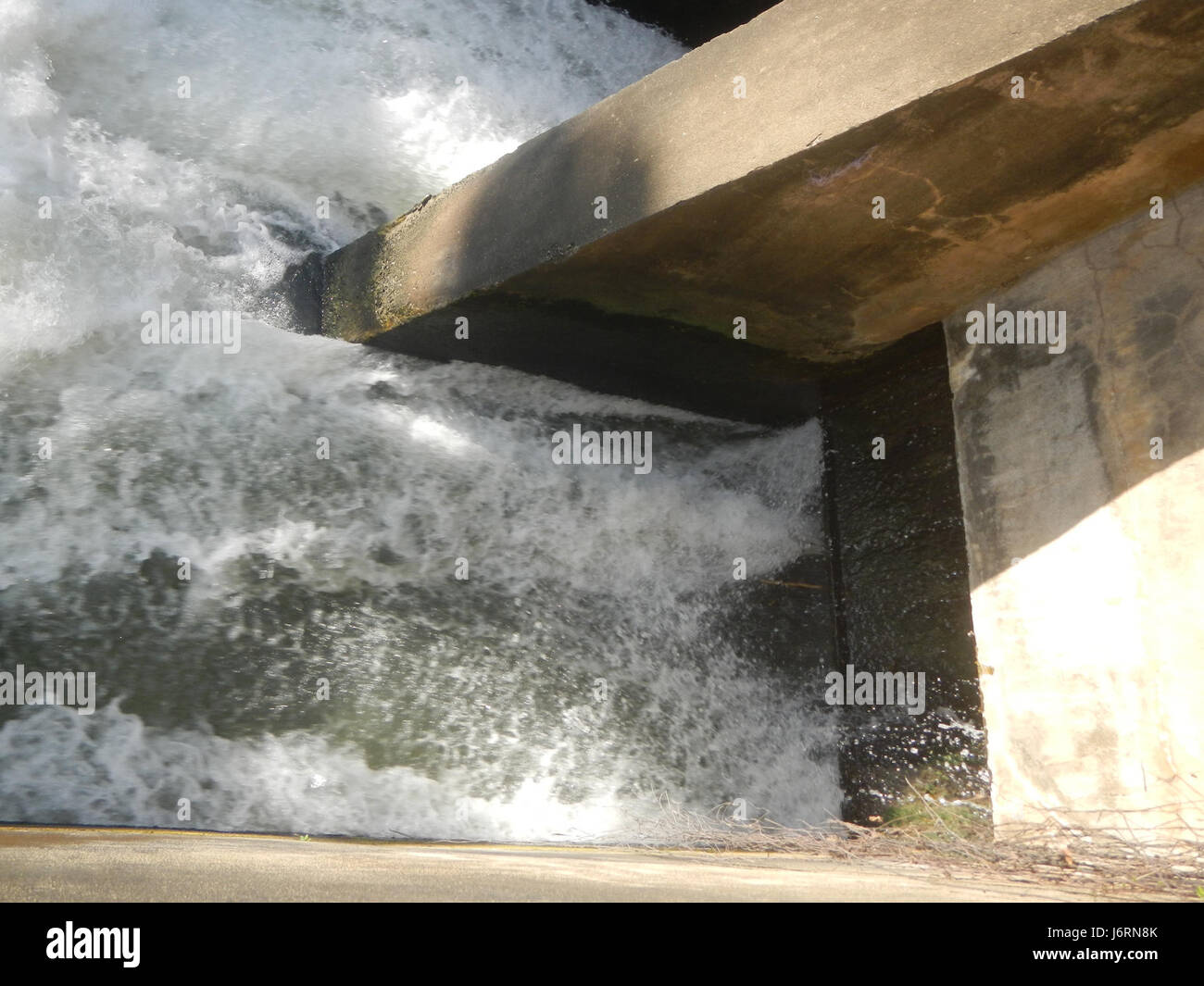 This image captures the paddy fields, trees, irrigation canals, and the ...