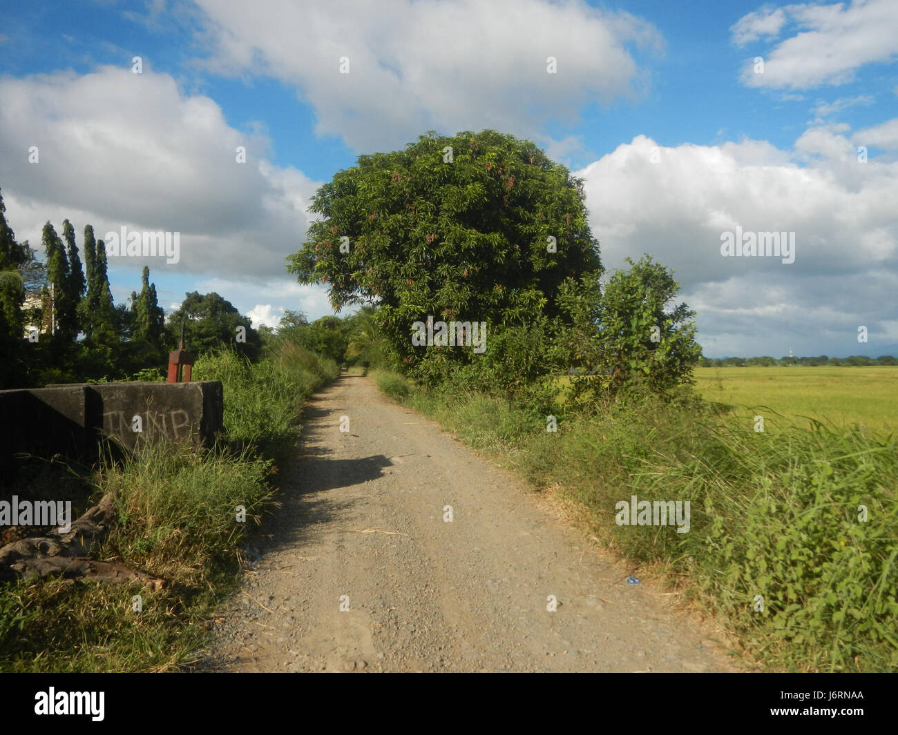 This image depicts the rural agricultural landscape of Talampas in ...