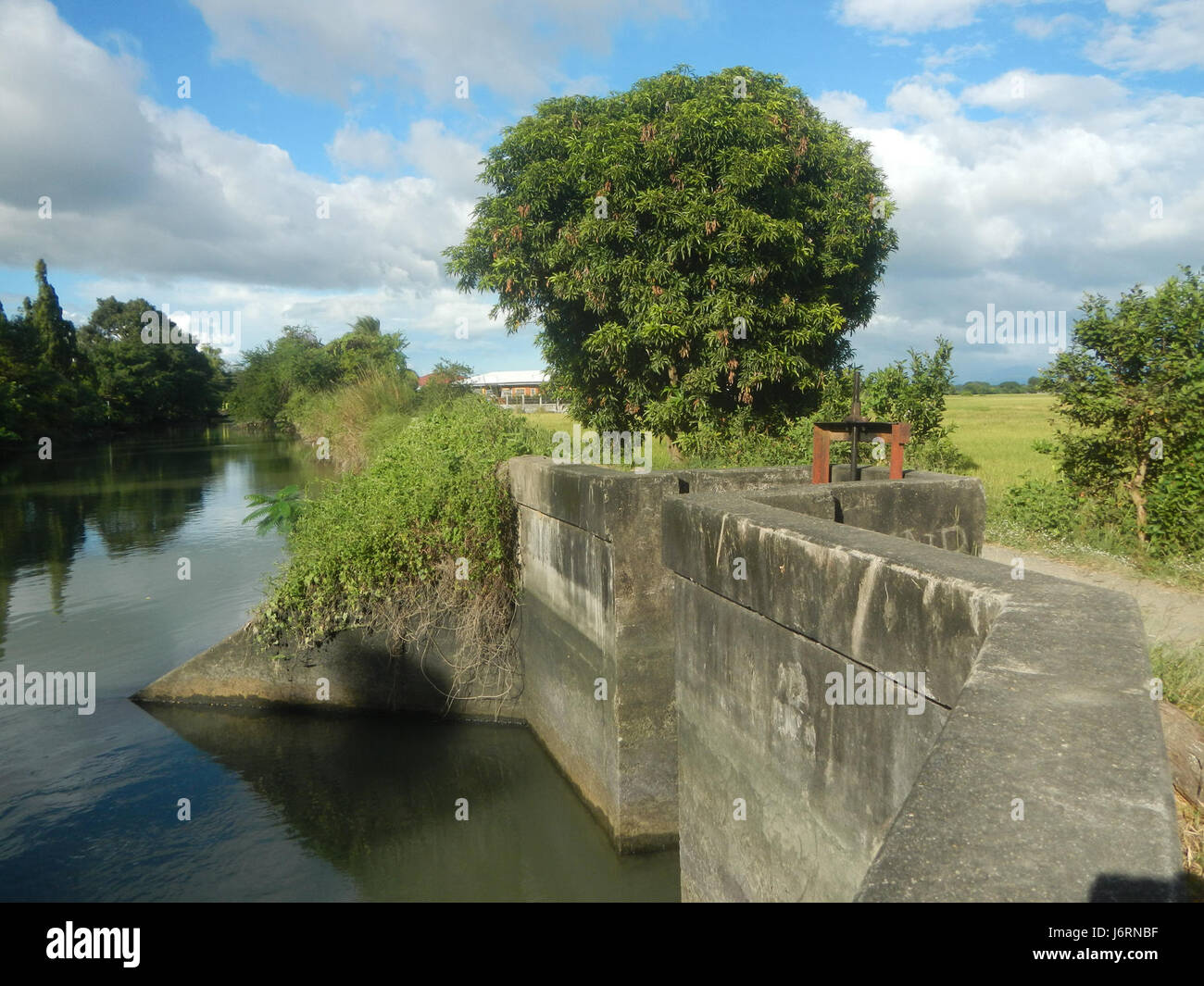 This image shows the agricultural landscape of Talampas, Bustos ...