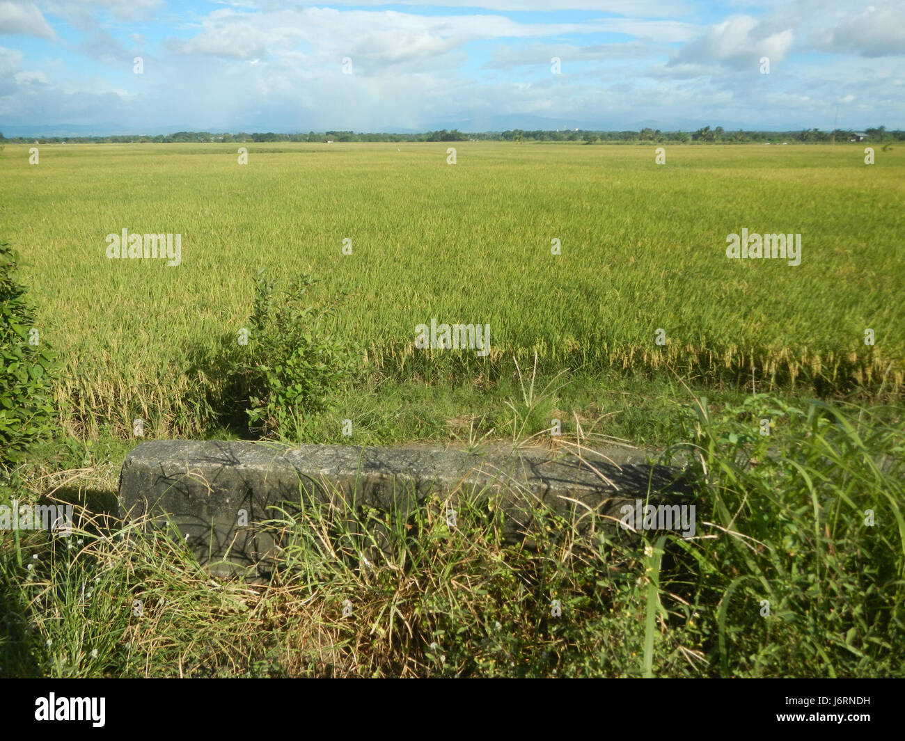 The Farm to Market Road in Talampas, Bustos, Bulacan, provides ...