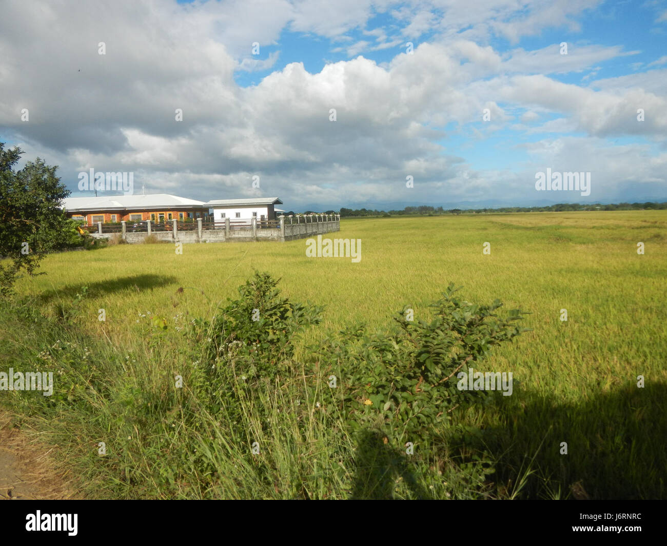 This title describes a rural scene in Bulacan, Philippines ...