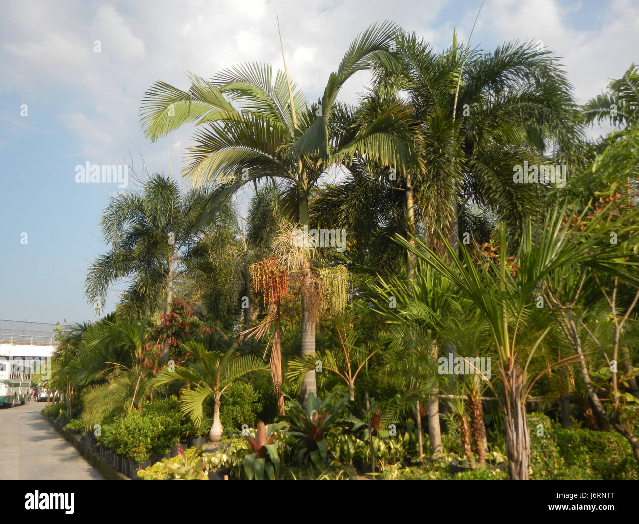 09229 Guiguinto Interchange KM 62 NLEx MacArthur Highway Santa Cruz ...
