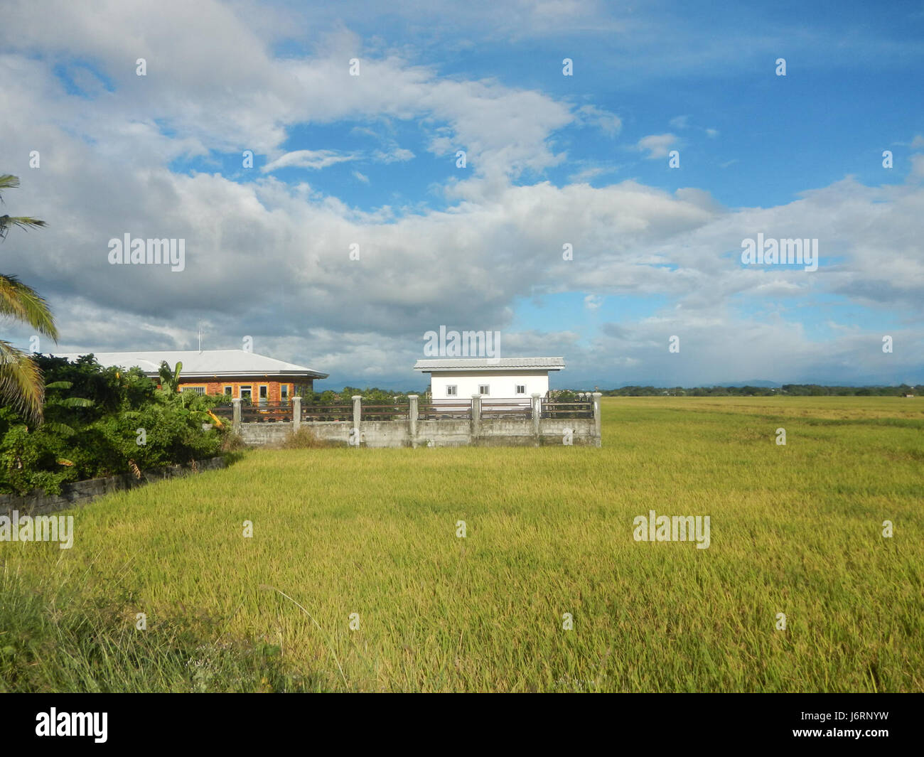 This image showcases the agricultural landscape of Talampas, Bustos in ...