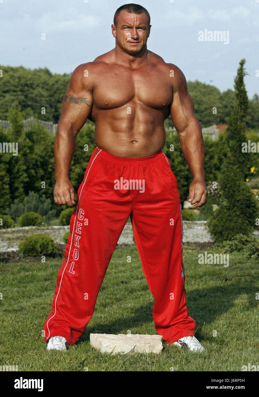 Mariusz Pudzianowski is a world-renowned strongman competitor from ...