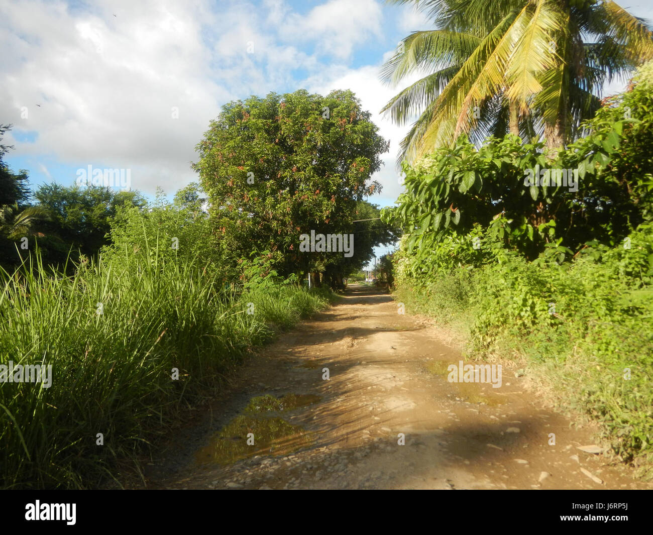 A description of the agricultural environment in Talampas, Bustos ...