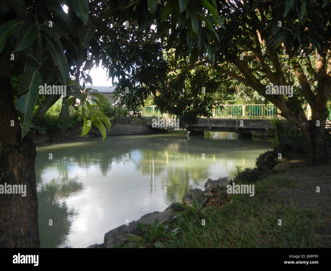 The image captures the rural agricultural landscape of Talampas, Bustos ...