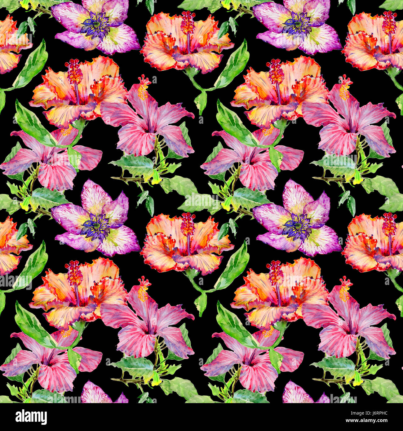 Wildflower hibiscus flower pattern in a watercolor style isolated Stock ...