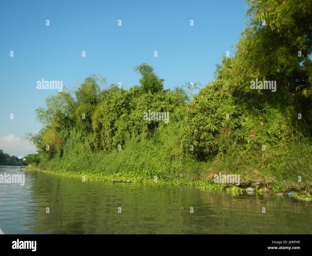 This image captures the riverbanks along the Pampanga River in the ...