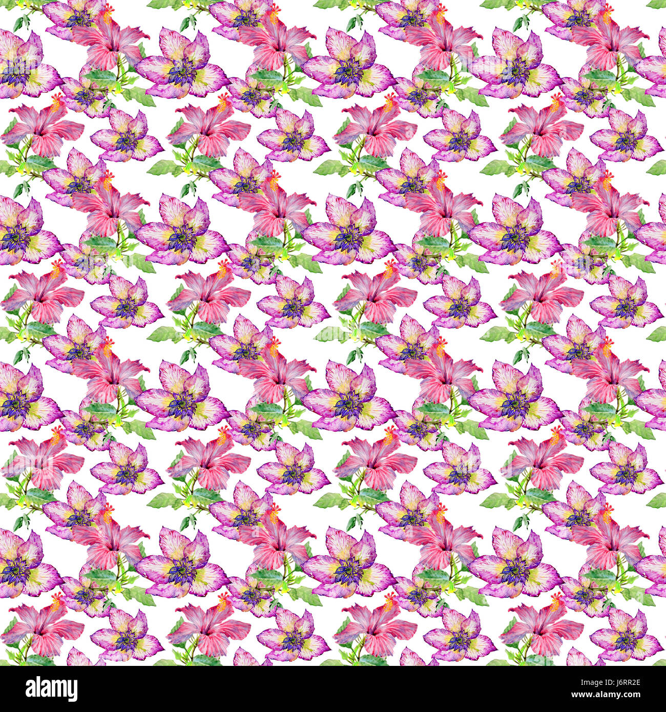 Wildflower hibiscus flower pattern in a watercolor style isolated Stock ...