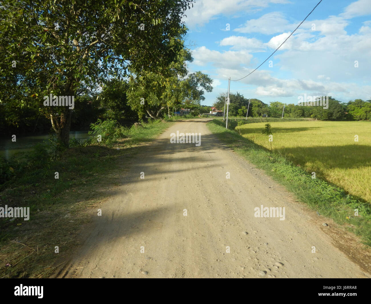 This image illustrates the agricultural landscape of Talampas, Bustos ...
