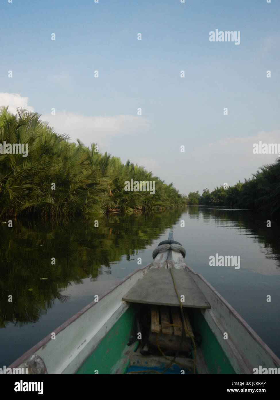 Coastal wetlands mangroves trees boat hi-res stock photography and ...