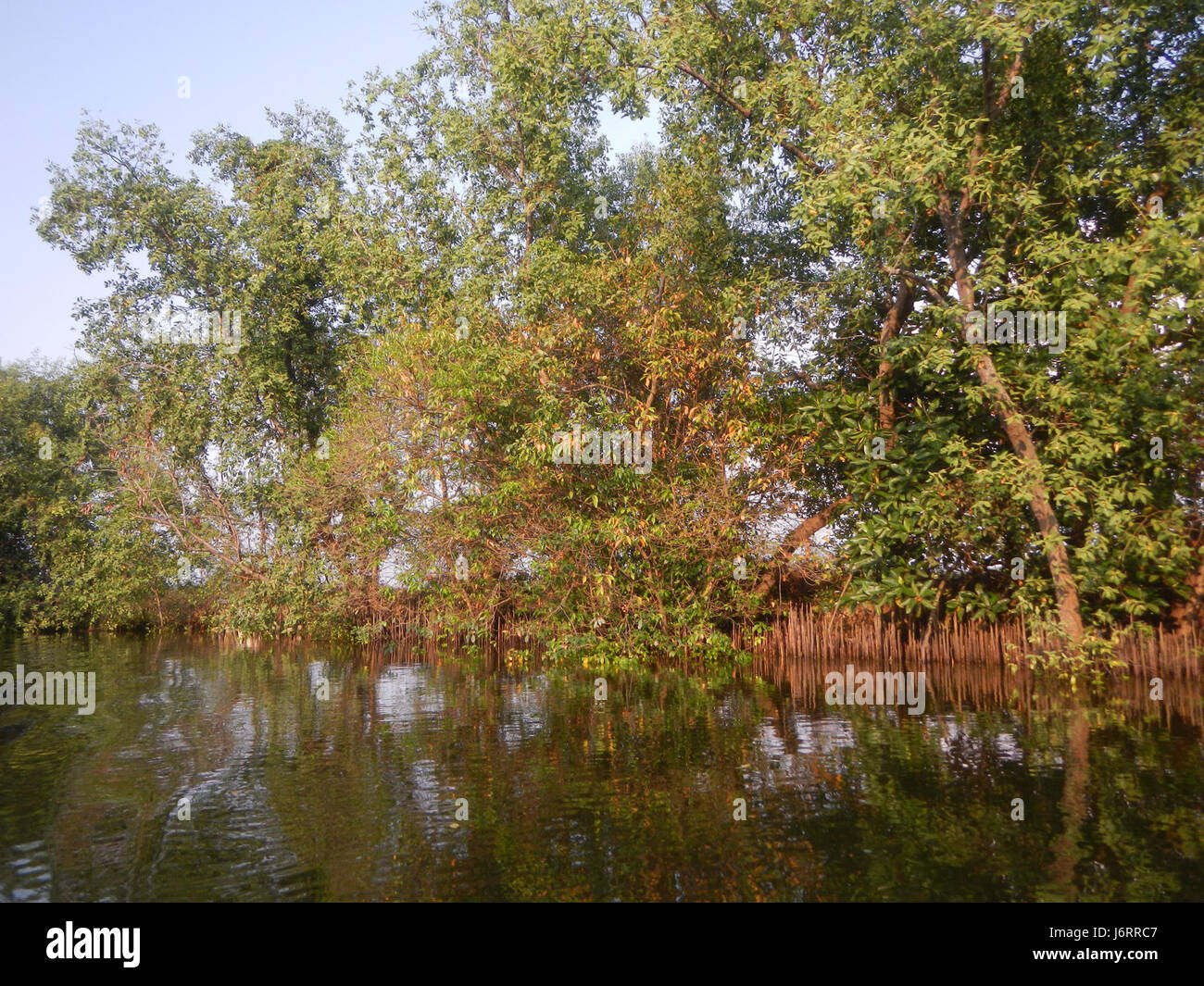 The riverbanks along the Calero River near Malolos, San Jose, and ...