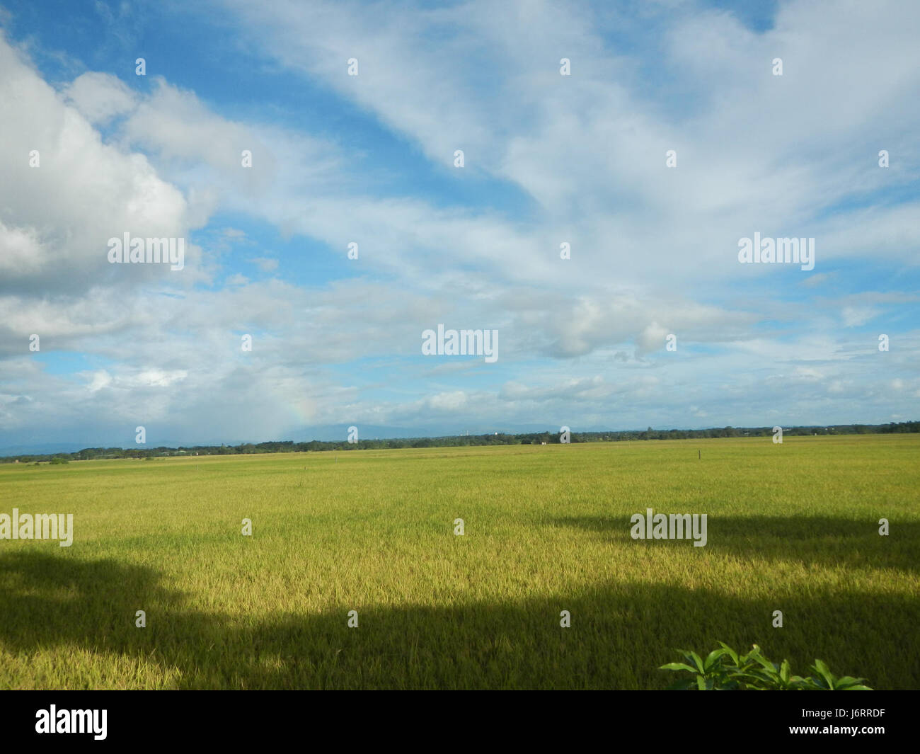The farm-to-market road in Talampas, Bustos, Bulacan, passes through ...