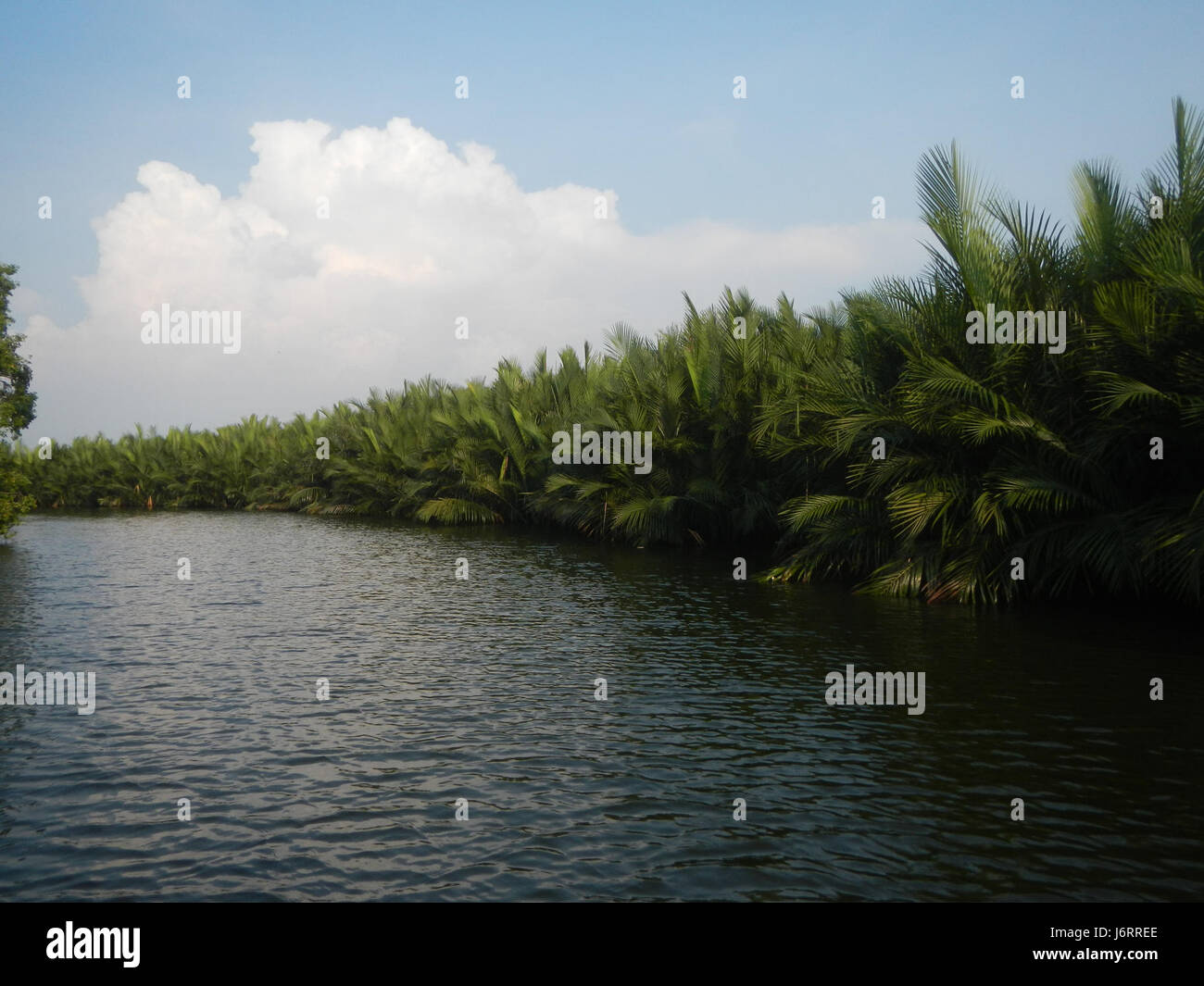 This map focuses on the riverbanks along the Calero River, located near ...