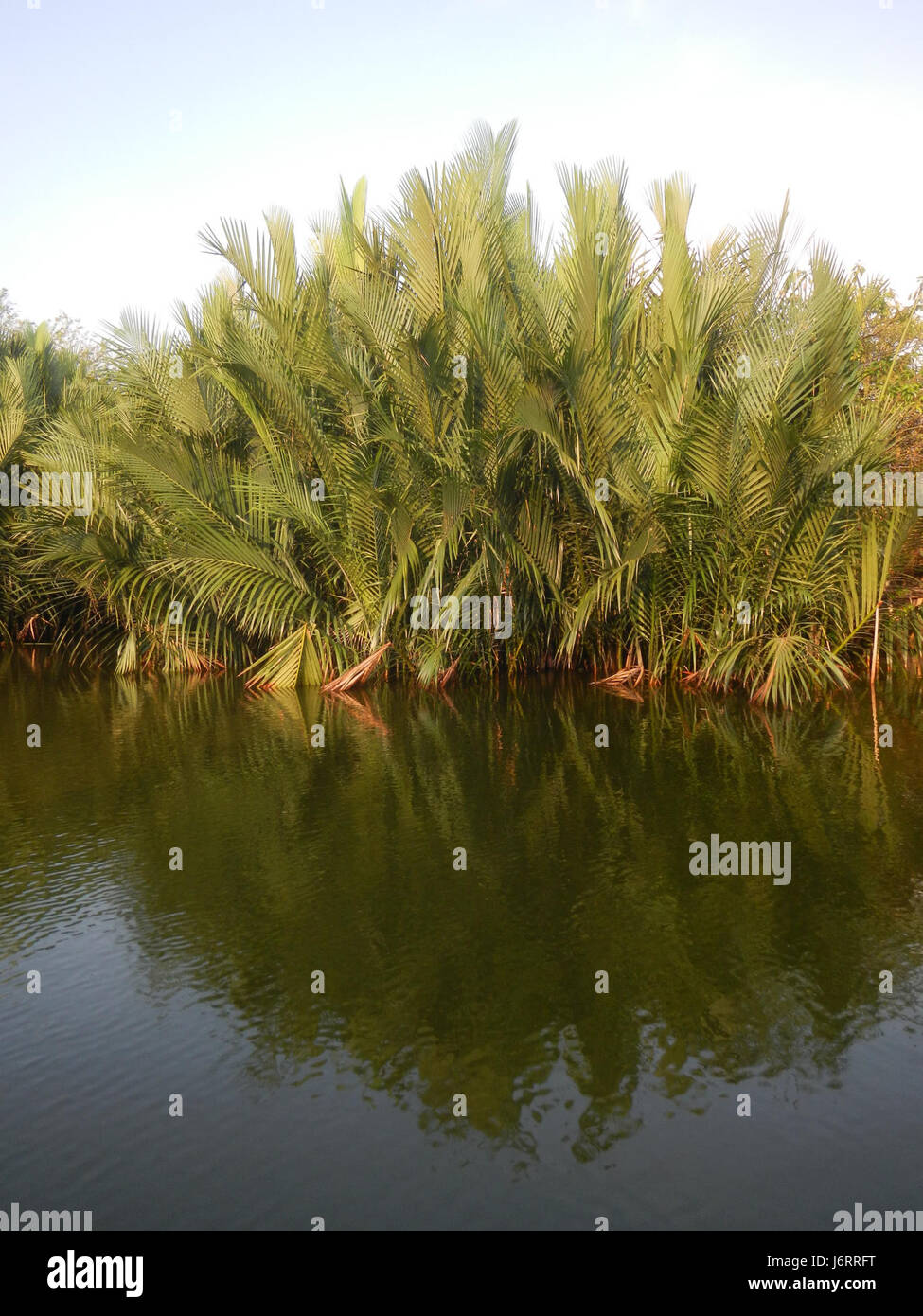 This scene depicts the river banks near Calero, Malolos, and San Jose ...