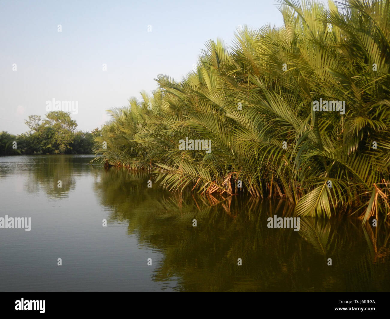 A map or photograph showing the riverbanks of Calero in Malolos and ...