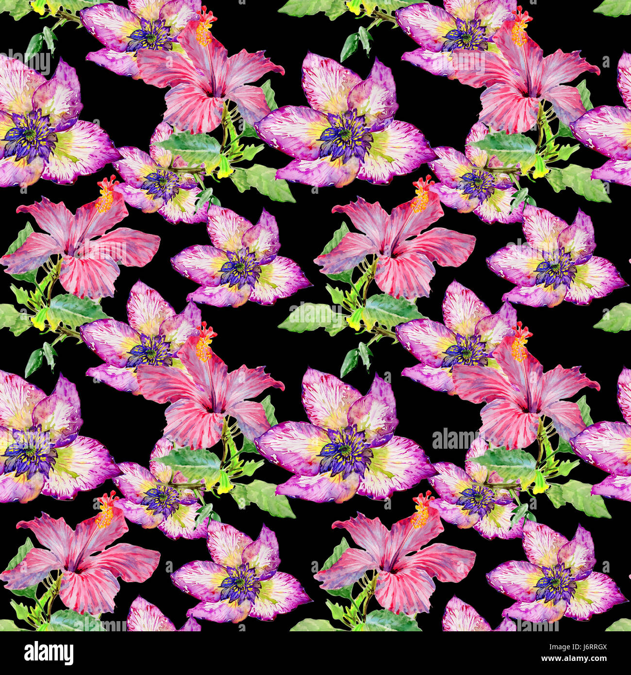 Wildflower hibiscus flower pattern in a watercolor style isolated Stock ...