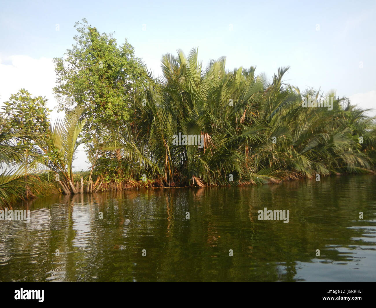 The riverbanks near Calero, Malolos, San Jose, and Paombong in Bulacan ...