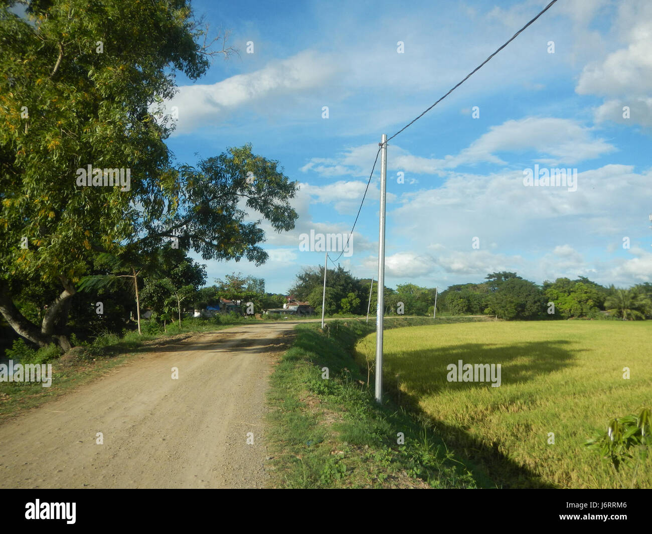 This image showcases the agricultural landscape in Talampas, Bustos ...