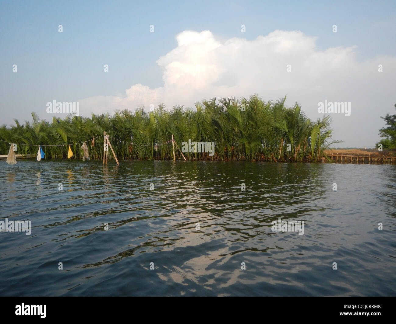 This photograph captures the scenic river banks of Calero in Malolos ...