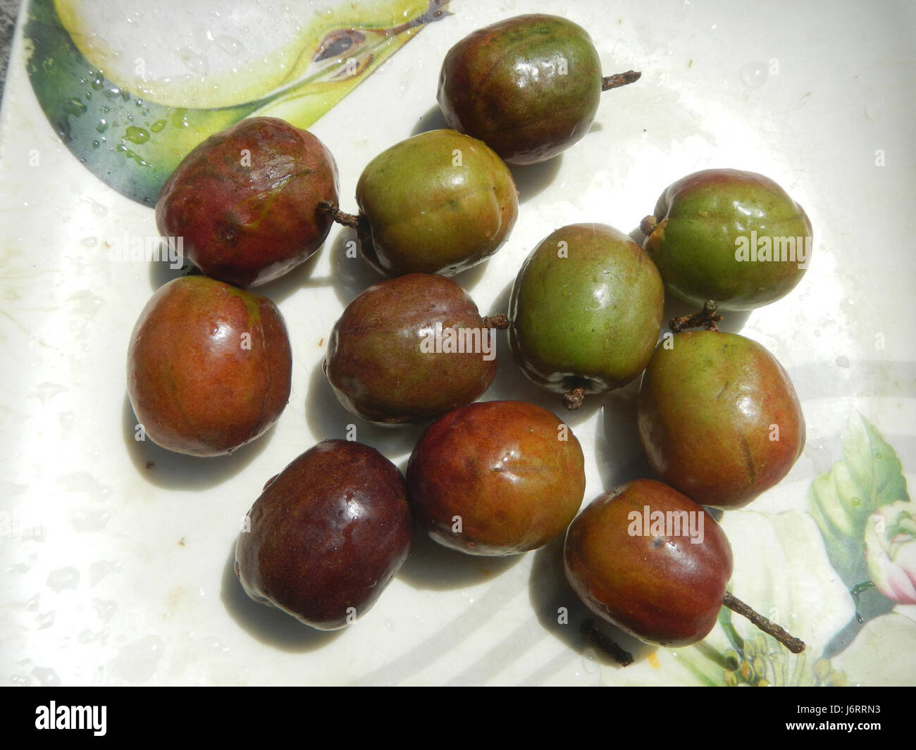 Chicken cake fruits, also known as *Muntingia calabura*, is a tropical ...