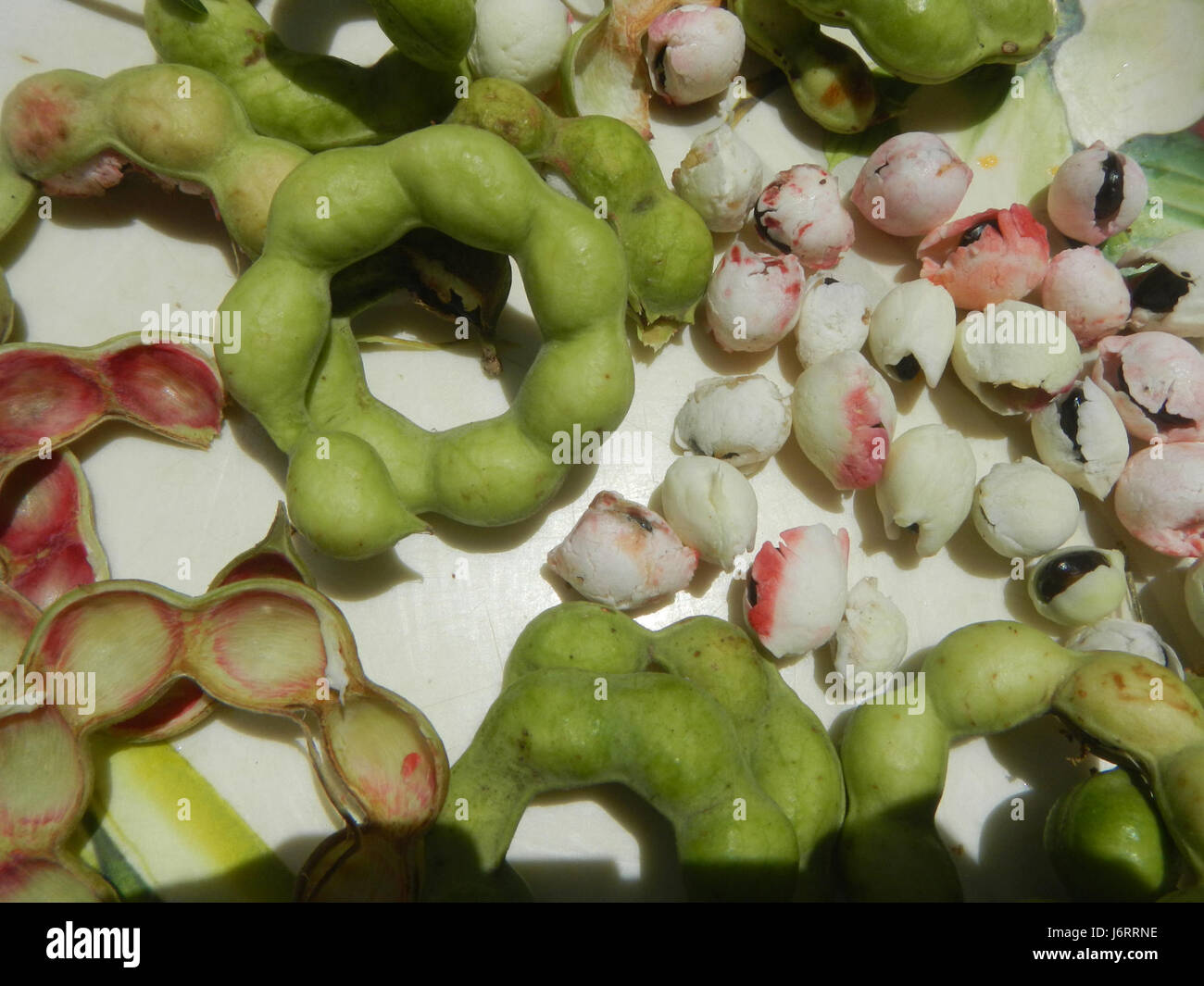 This image highlights the diverse range of fruits found in the ...