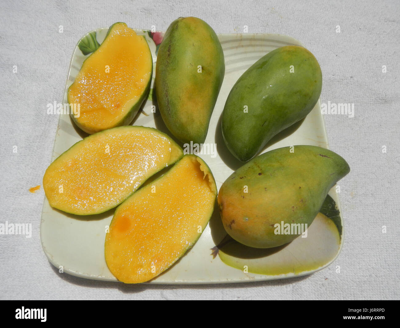 This refers to a collection or study of the diverse range of fruits ...
