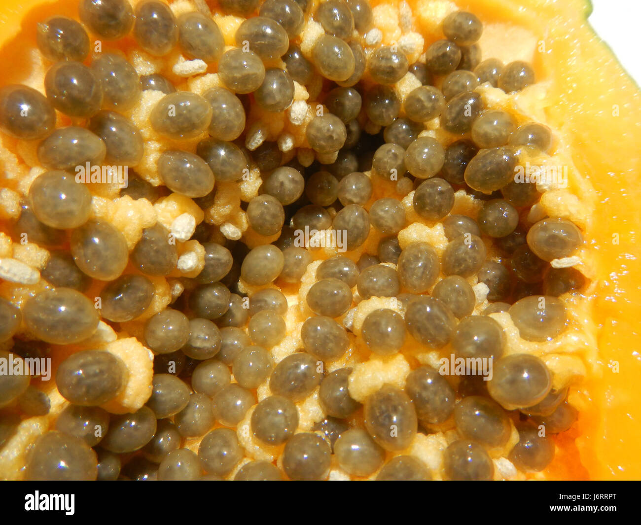 'Fruits of the Philippines' showcases a variety of fruits native to the ...
