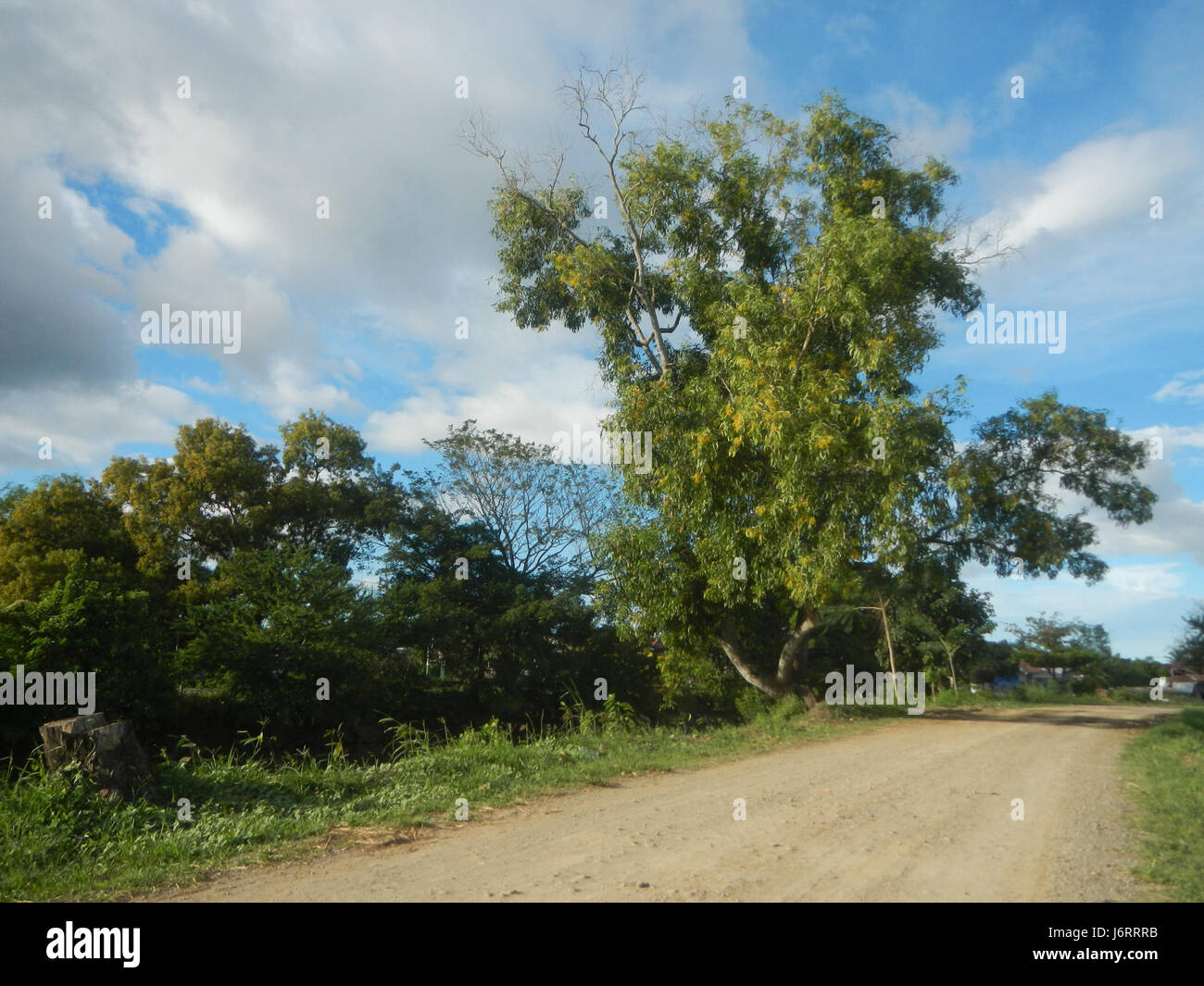 The agricultural areas of Talampas and Bustos in Bulacan are dominated ...