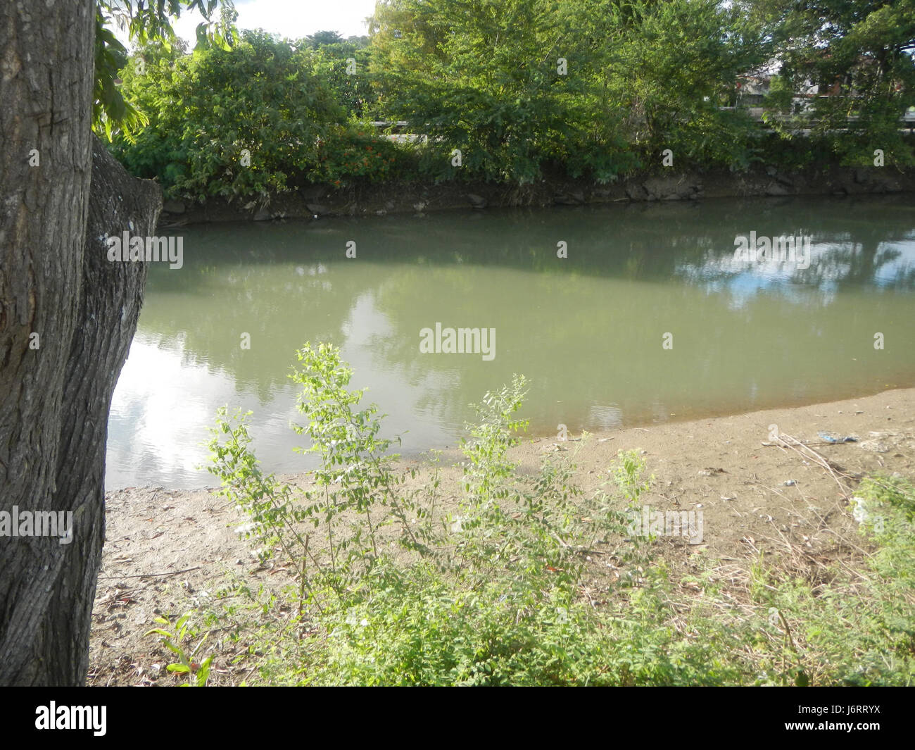 This image depicts the agricultural landscape of Talampas, Bustos ...
