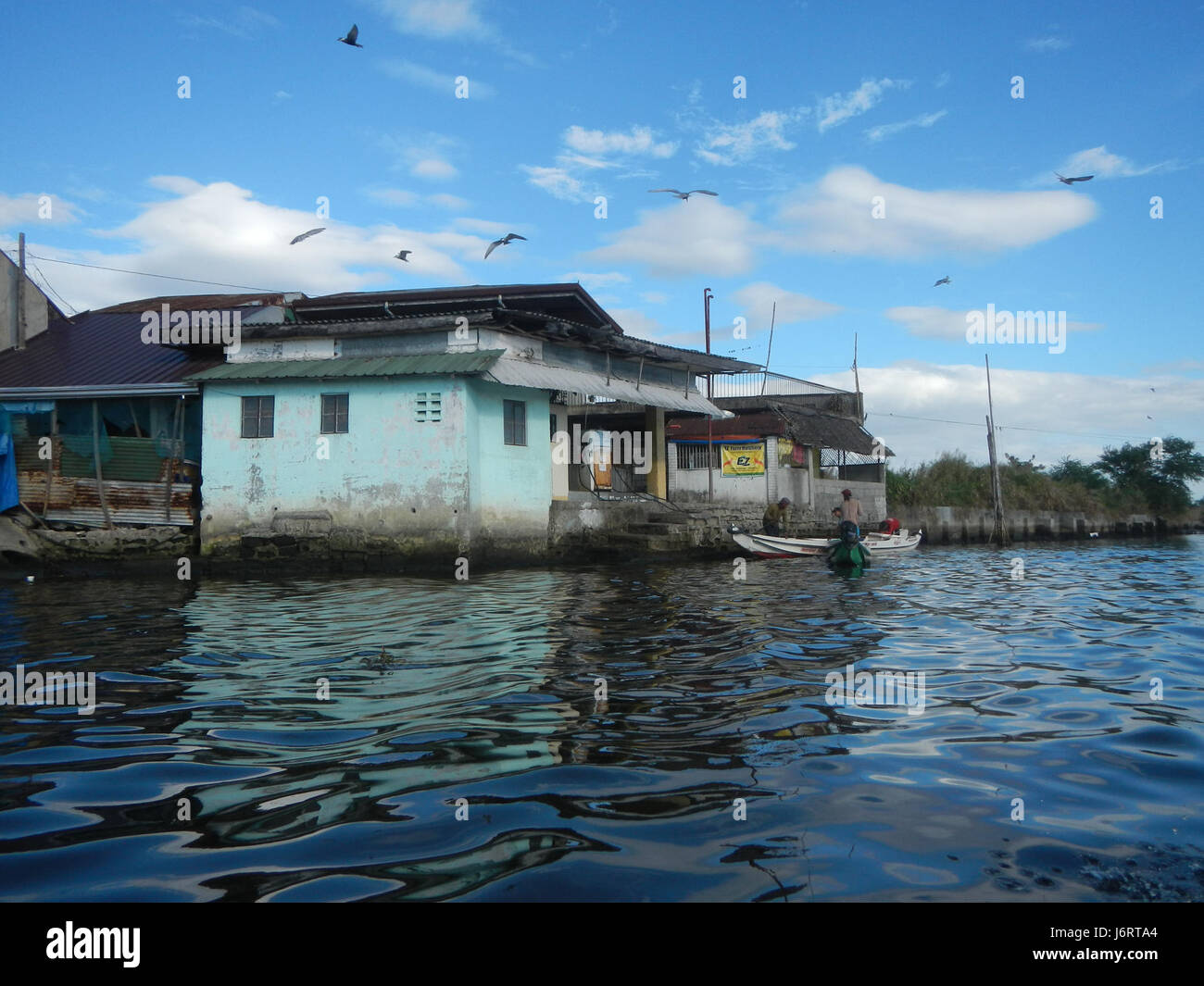 Migratory birds birds management hi-res stock photography and images ...