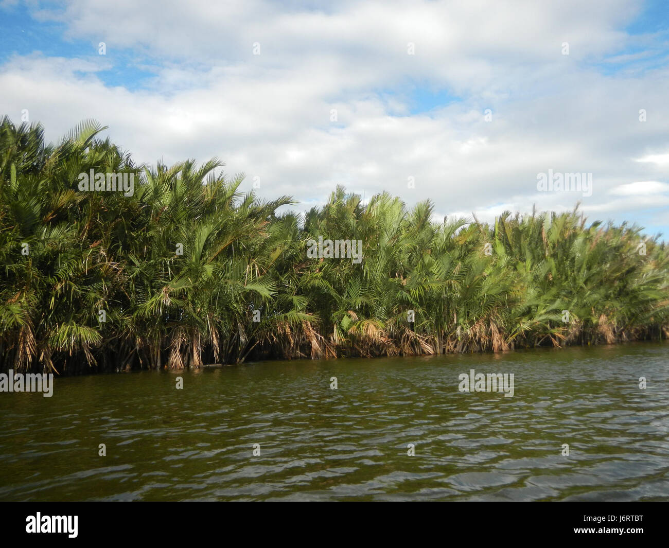 This title refers to the Malolos, Bulacan river districts, focusing on ...