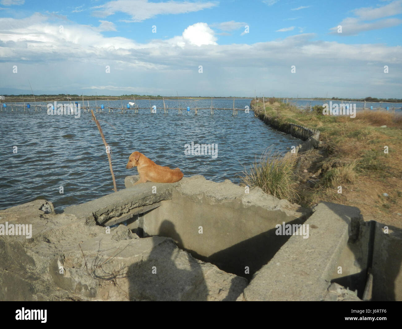 06627 Malolos Bulakan River Districts Panasahan San Nicolas River banks ...