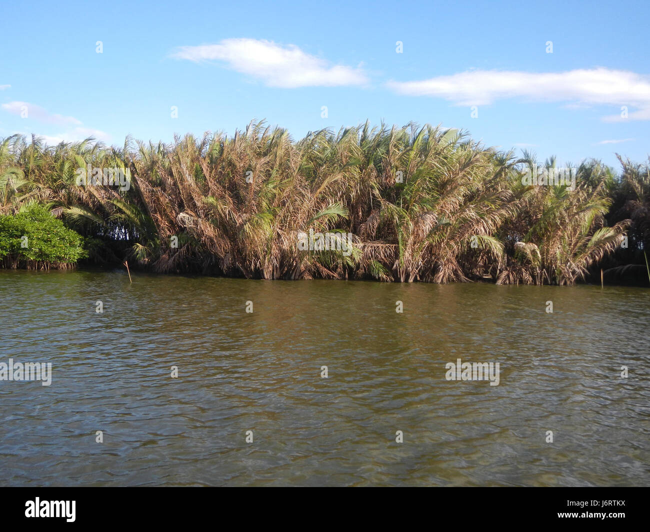This image or map depicts the river districts of Panasahan and San ...