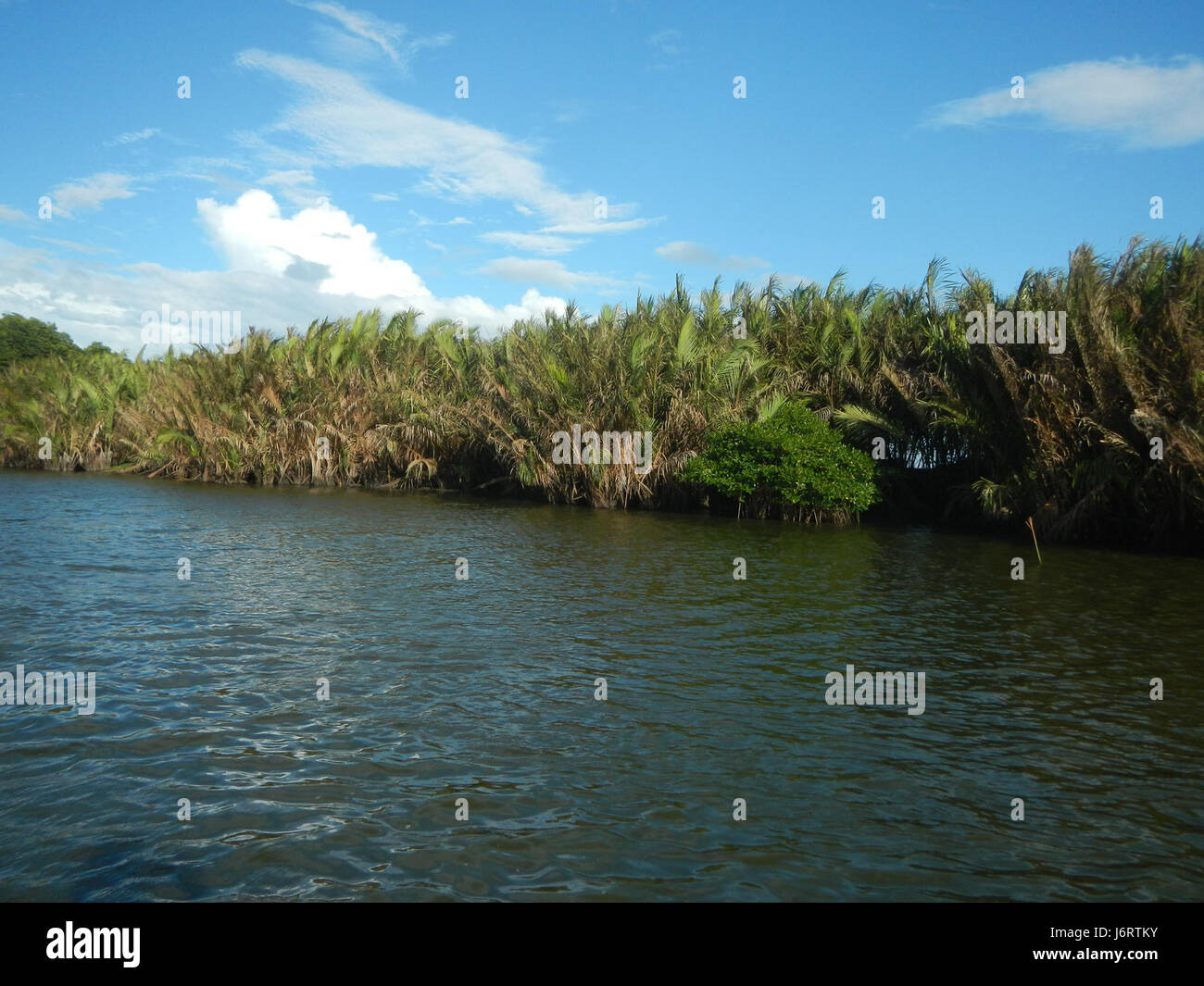 This image shows the river districts of Malolos, Bulacan, Philippines ...