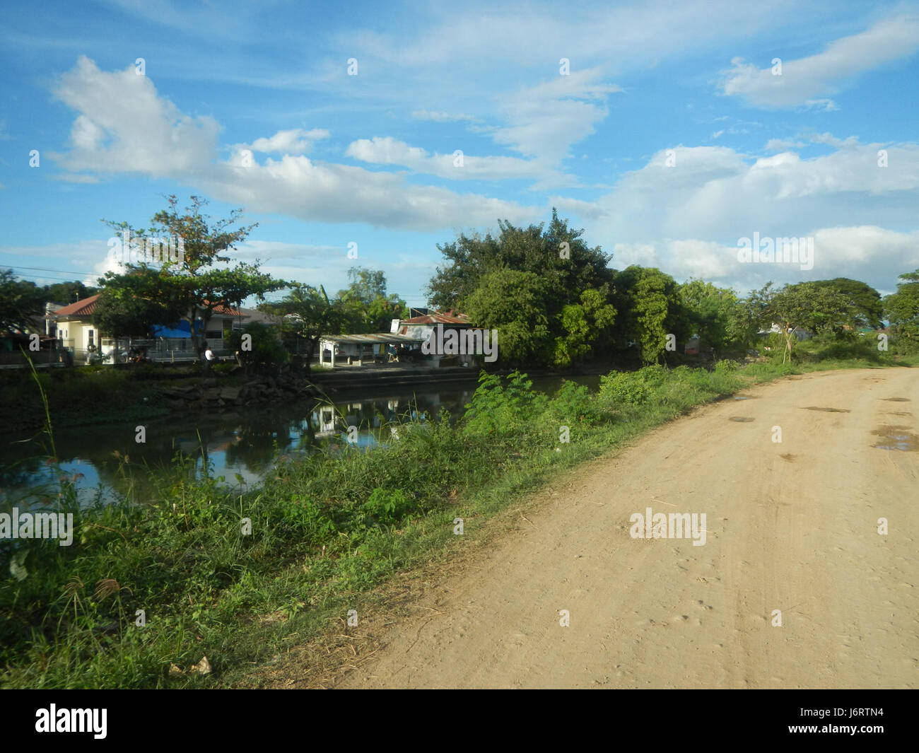 Photograph of paddy fields with trees and irrigation along Farm to ...