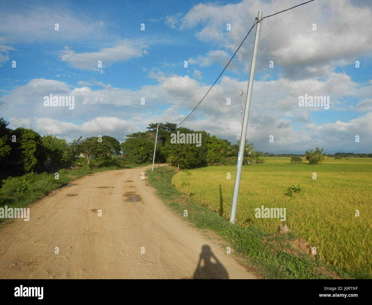 09166 Paddy fields trees irrigation Farm to Market Road Talampas Bustos ...