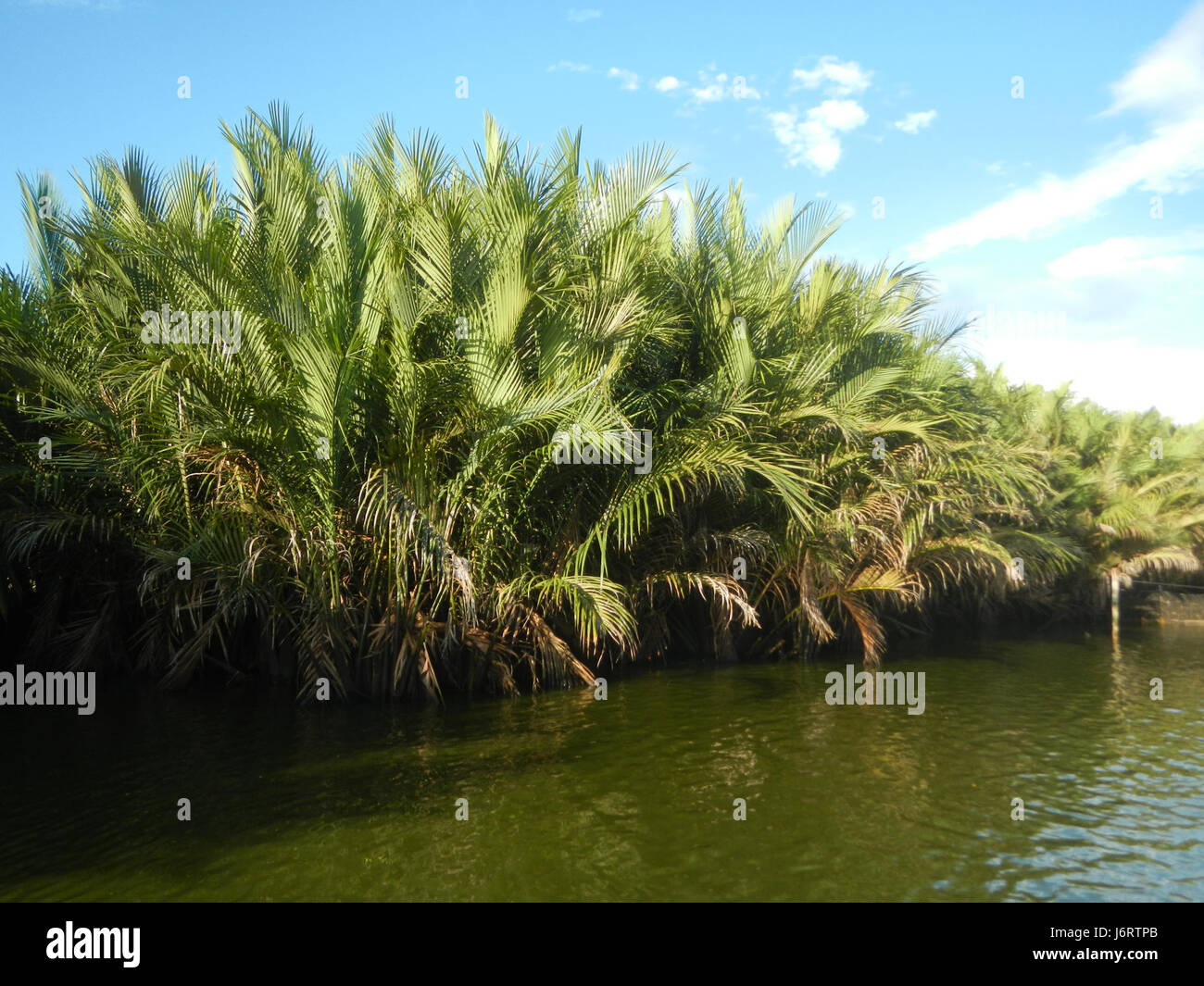 This map provides an overview of the Malolos and Bulakan River ...