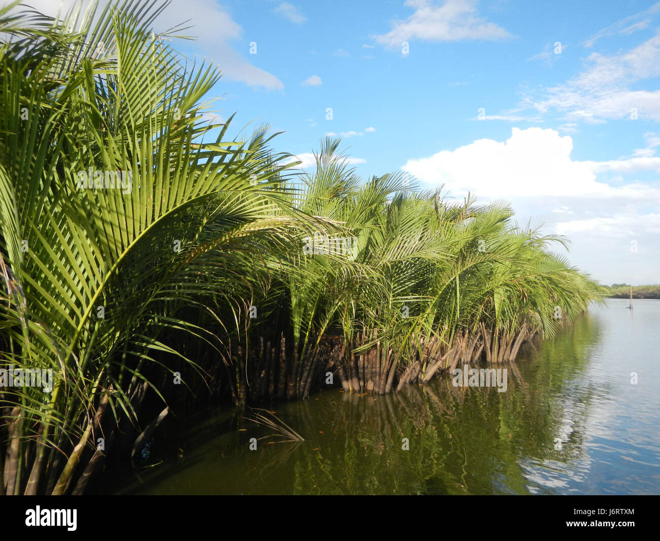 This image shows the river districts in Malolos, Bulacan, specifically ...